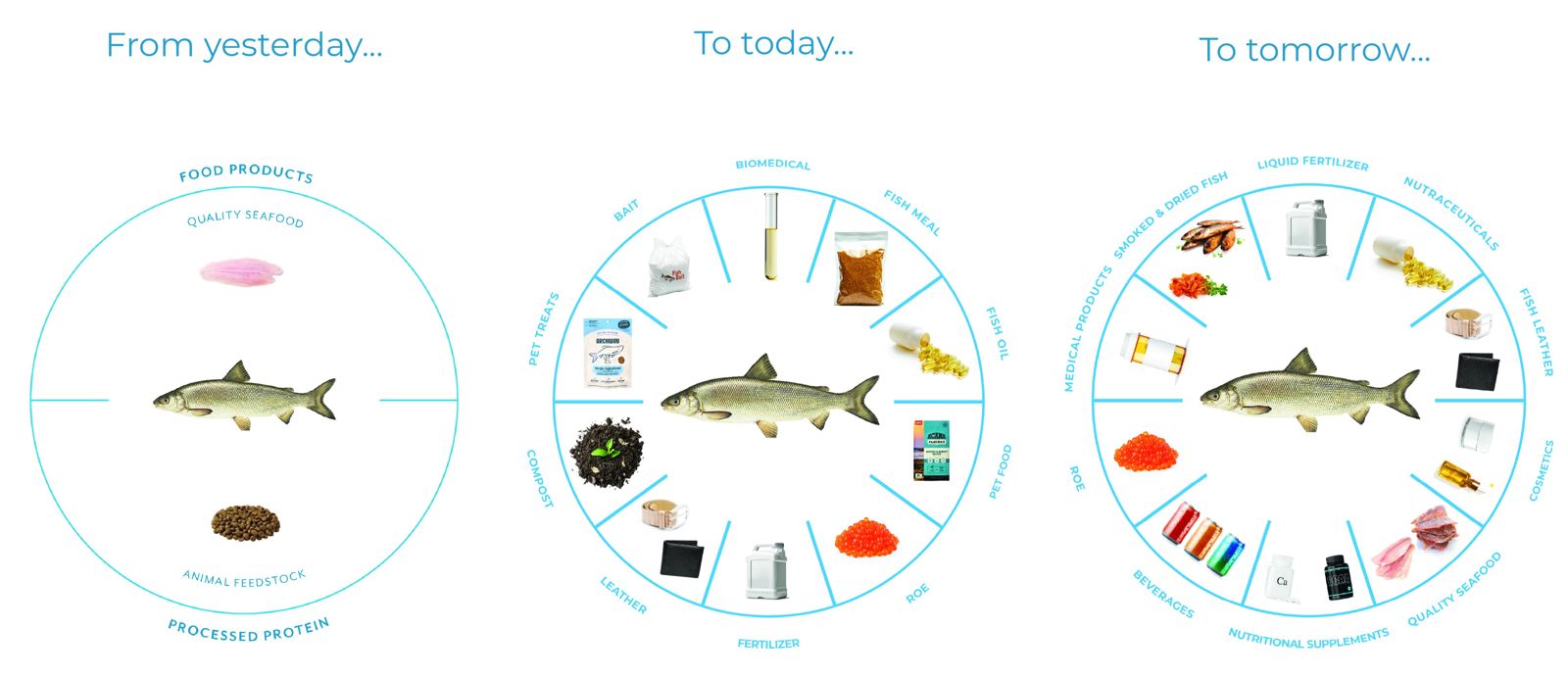 100% Great Lakes Fish - Great Lakes Governors & Premiers