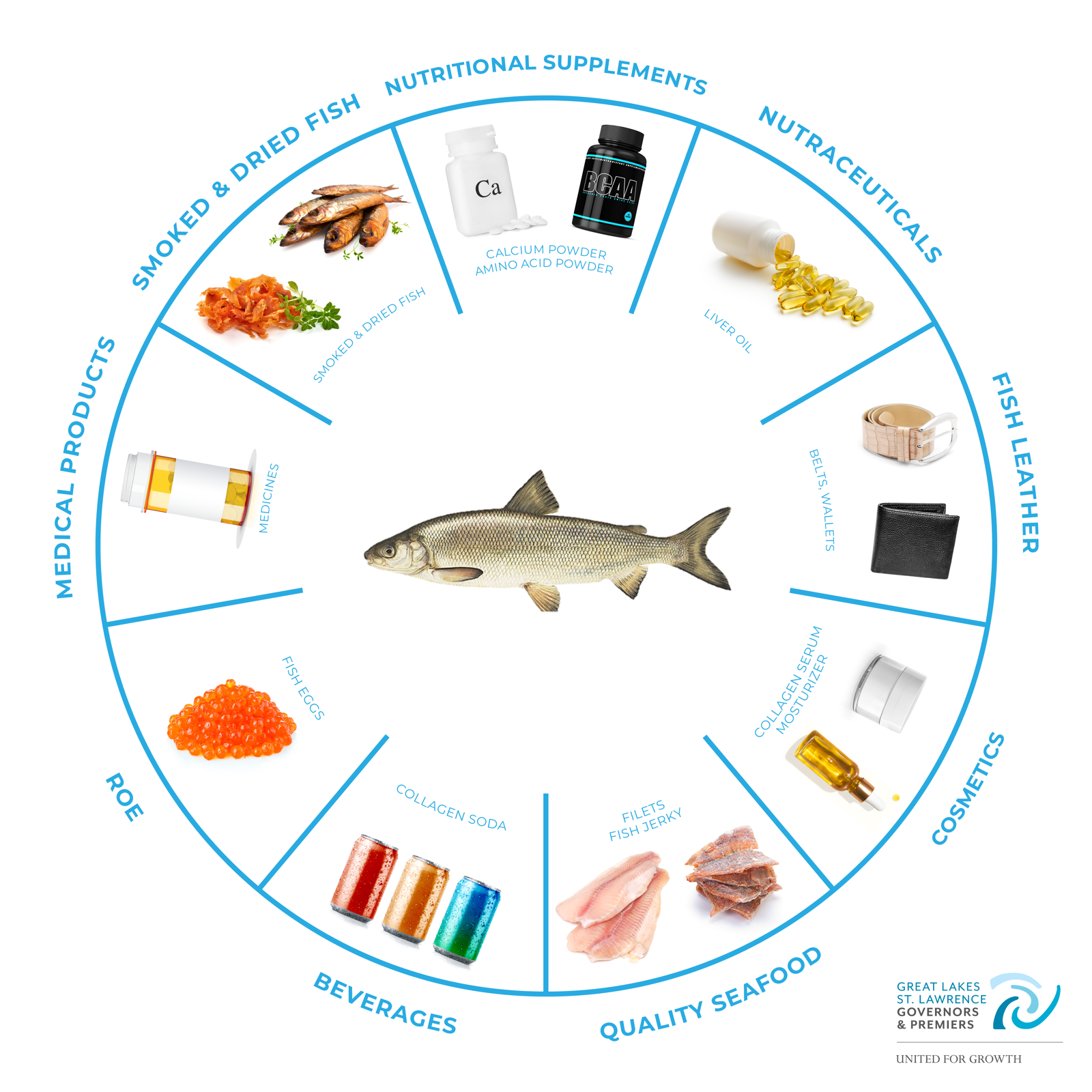 100% Great Lakes Fish - Great Lakes Governors & Premiers