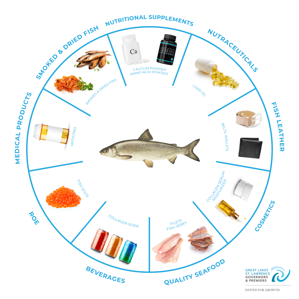 GSGP Leads Successful 100% Fish Mission to Iceland Great Lakes ...